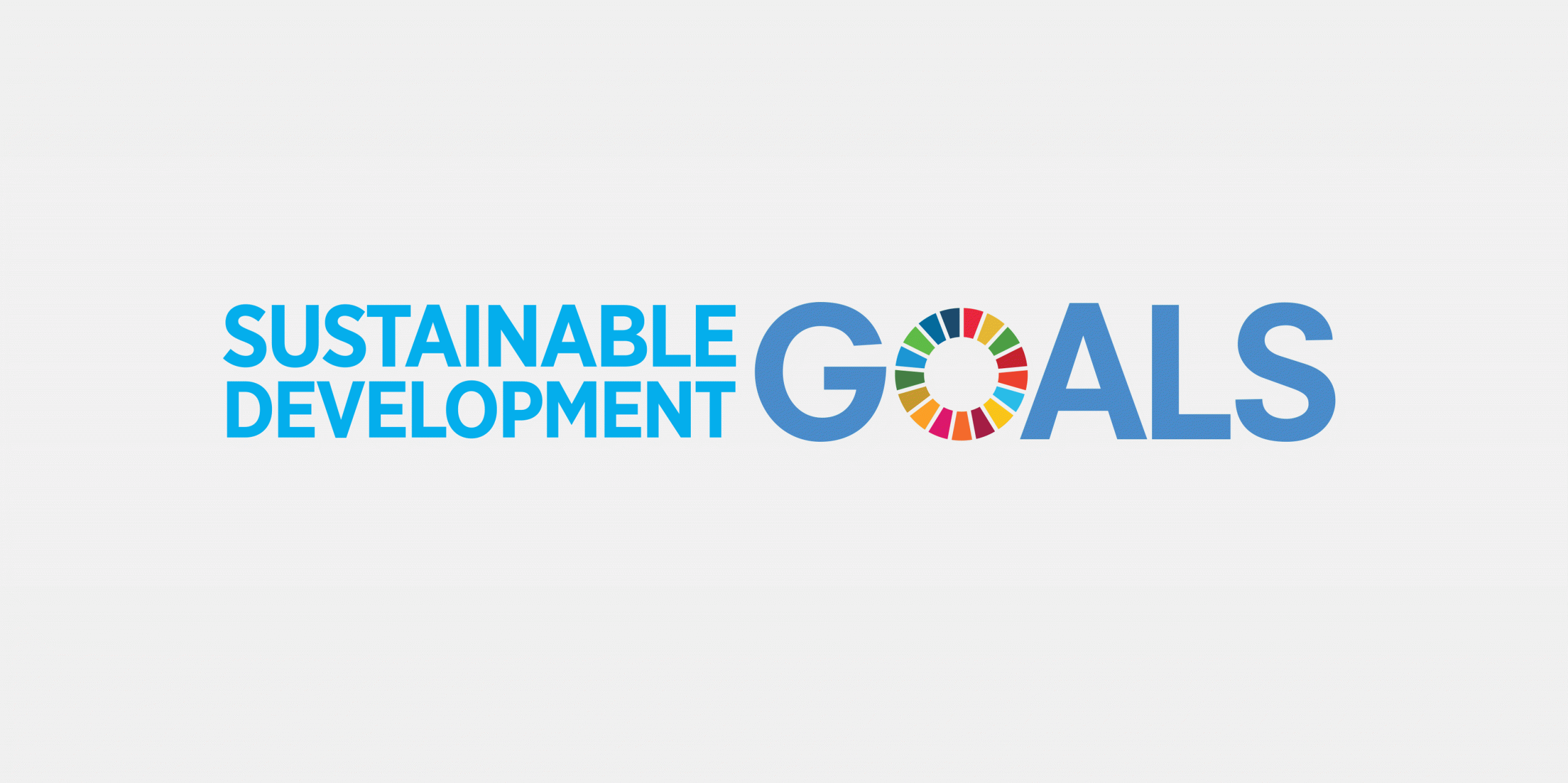 Mapping to the SDGs – Elevar Equity